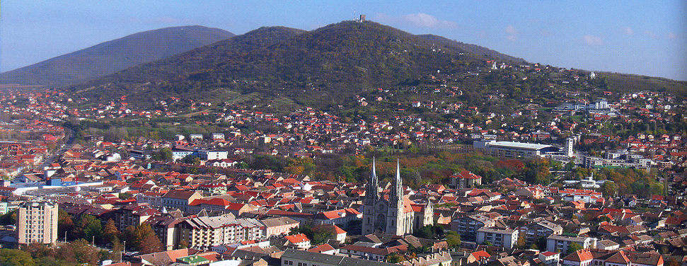 Portal Grada Vršca